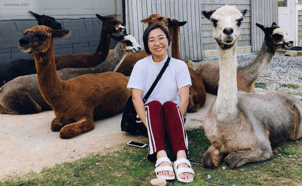 WHERE THE WILD THINGS ARE – Block Island Ferry
